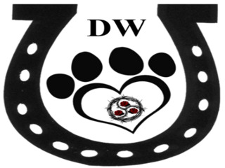 SL Colonies | SL Colonies Meter